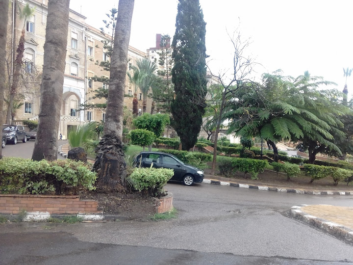 Nareman Hospital | ويلب