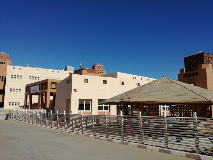 Nile Egyptian School (NES) - Qena Branch | ويلب