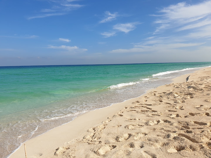 Tiba Rose North coast | ويلب